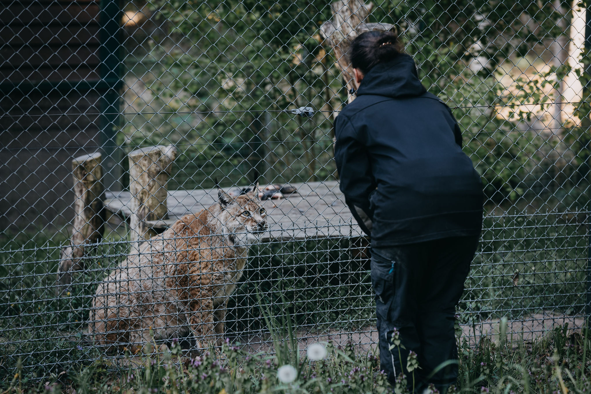 Tierpfleger/-in (m/w/d) – Fachrichtung Zoo | Stadtwerke Neustrelitz